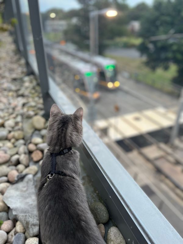 Chris Dermody - Head of Product